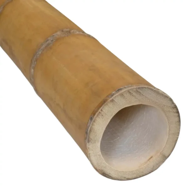 Guadua Rolliza Ø 13-15 cm (6 m) Tipo Exportación - Guadua Bamboo SAS